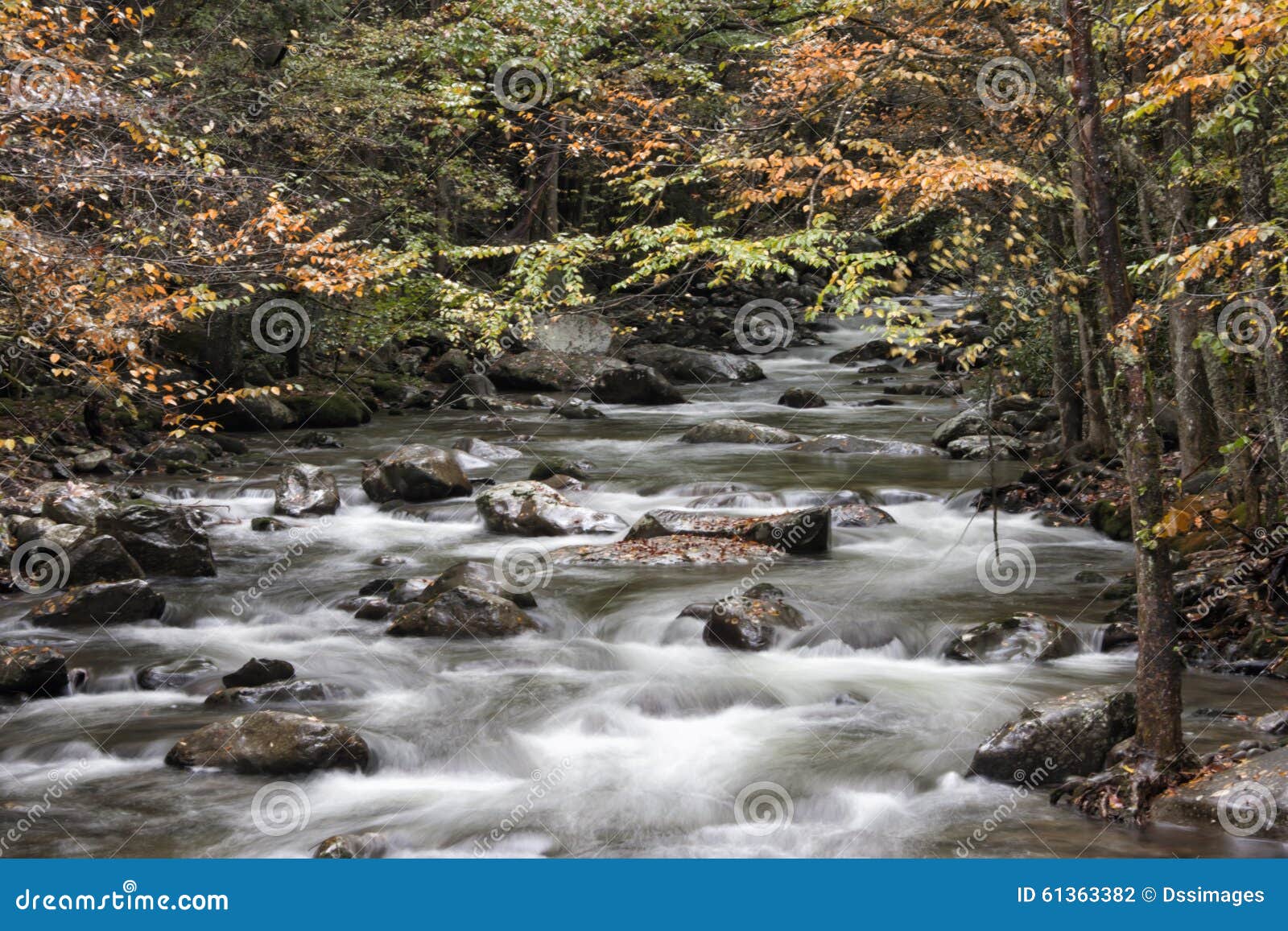 Autumn River Scene stock photo. Image of scenic, beautiful - 61363382