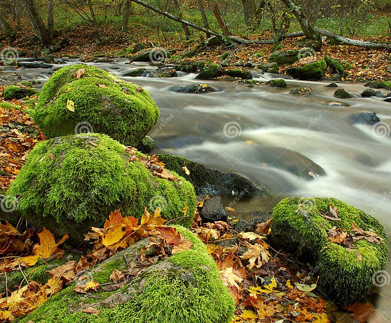 Autumn River in September stock image. Image of autumn - 5483431