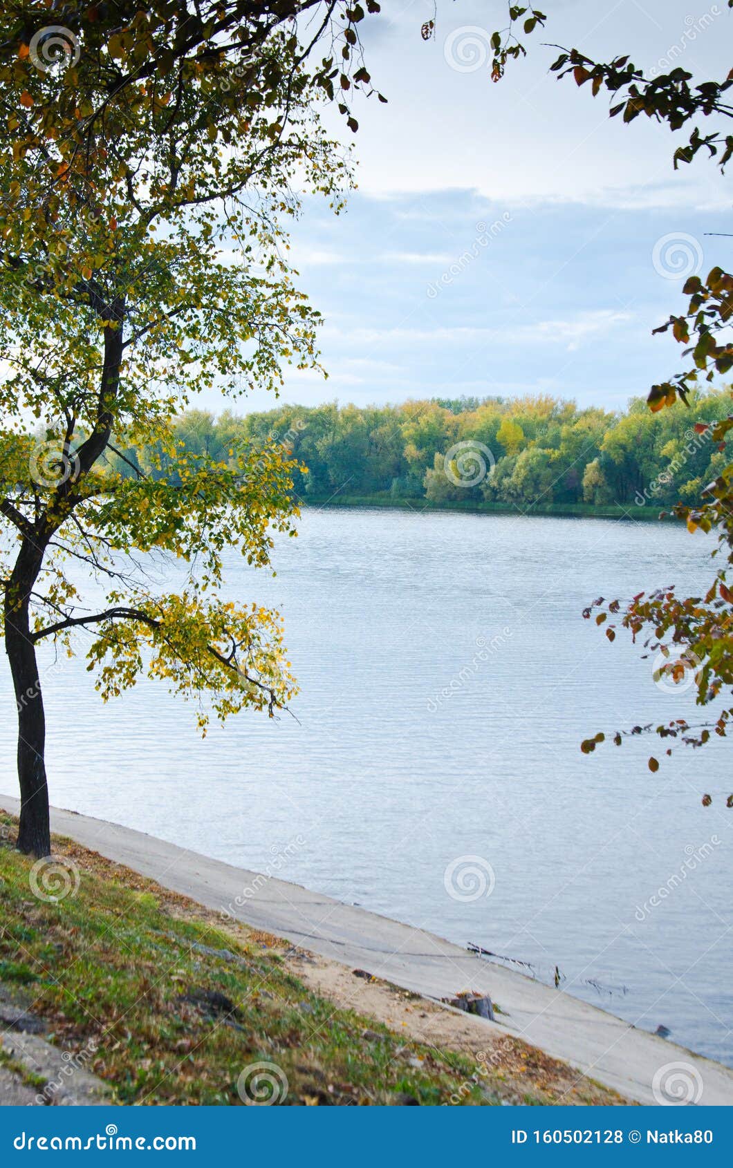 Shore With Trees And Palm Trees Stock Photo | CartoonDealer.com #112242792