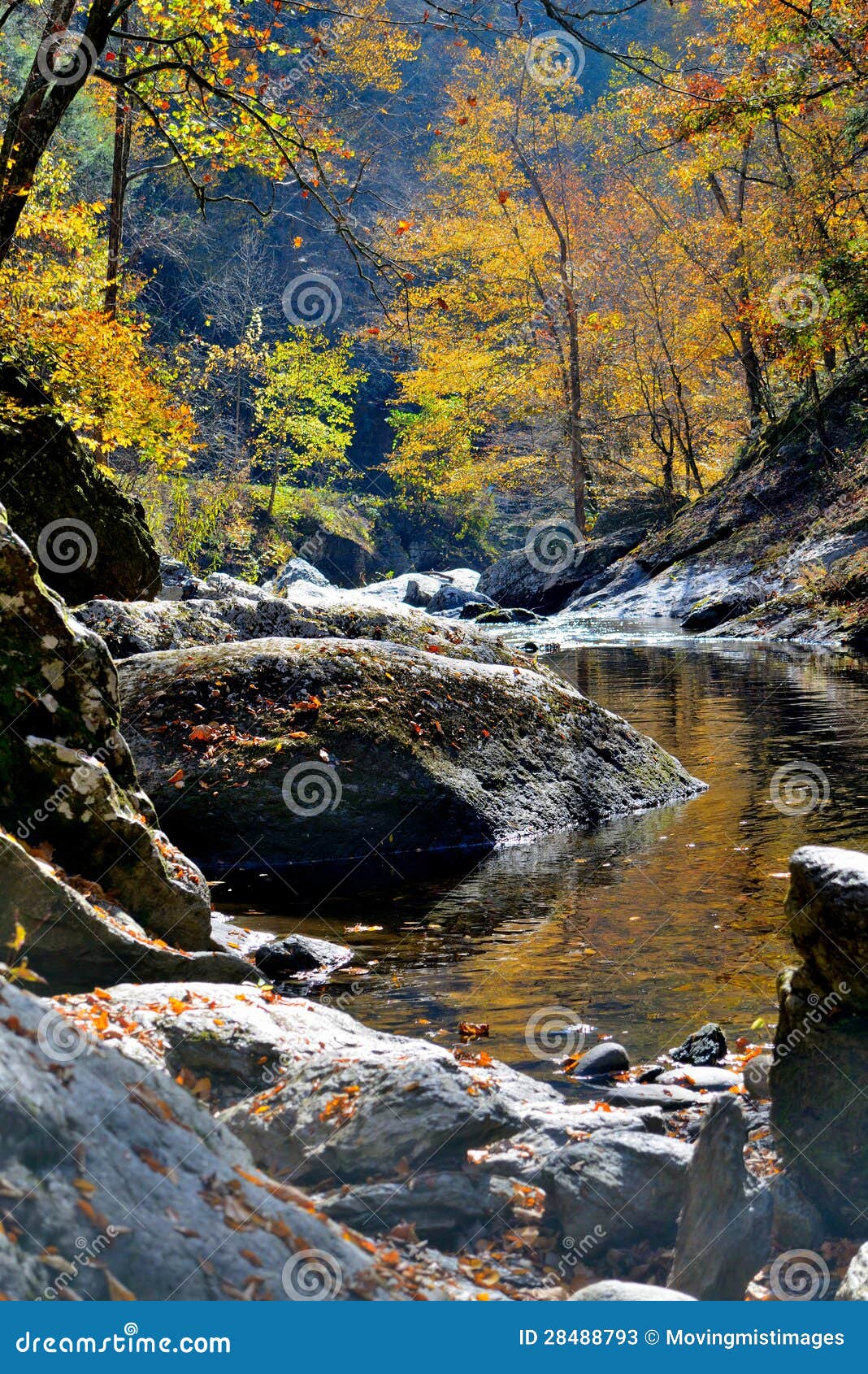 Autumn River in the Woods stock image. Image of reflections - 28488793