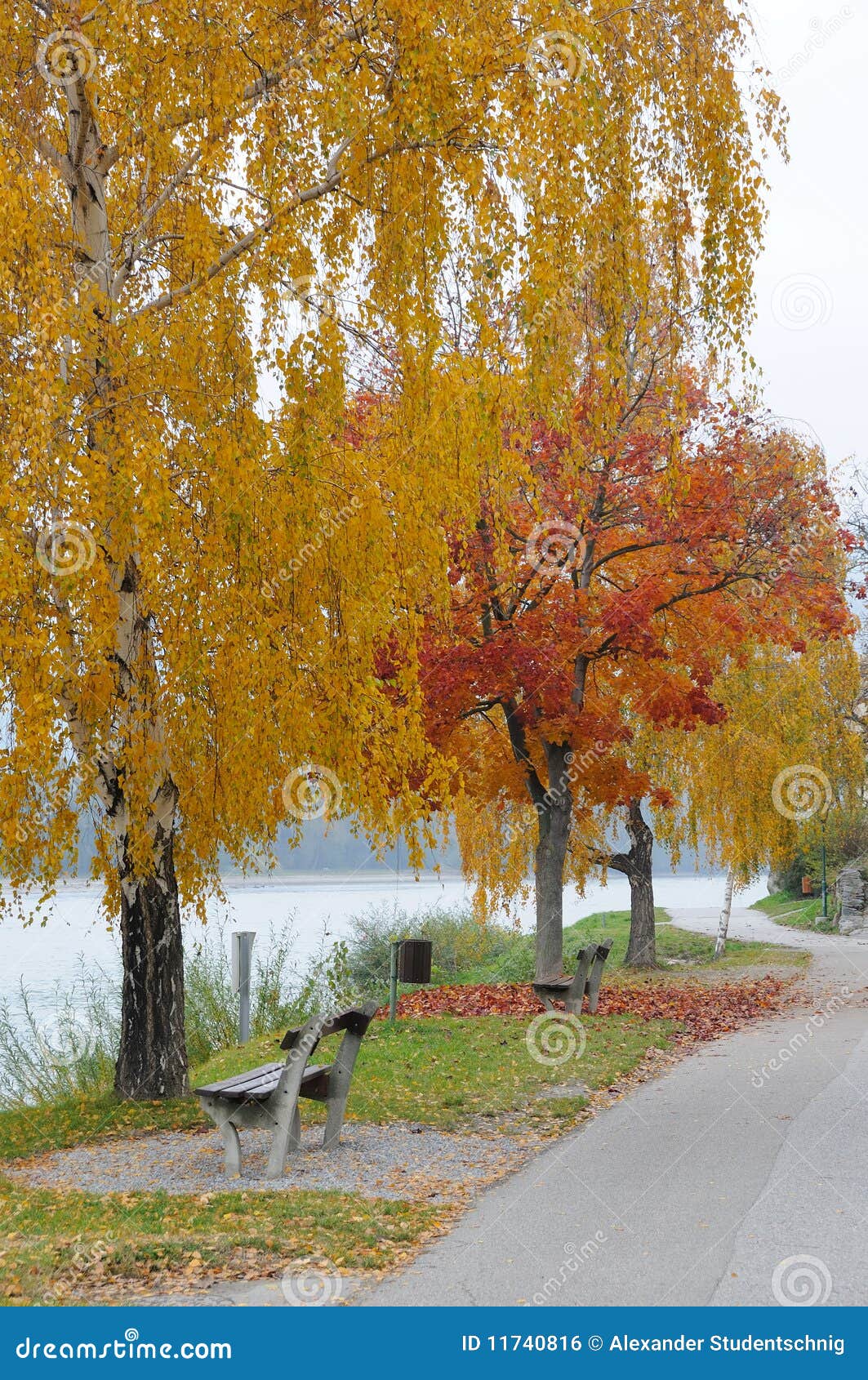 Autumn at riverside no.1 stock photo. Image of path, houses - 11740816