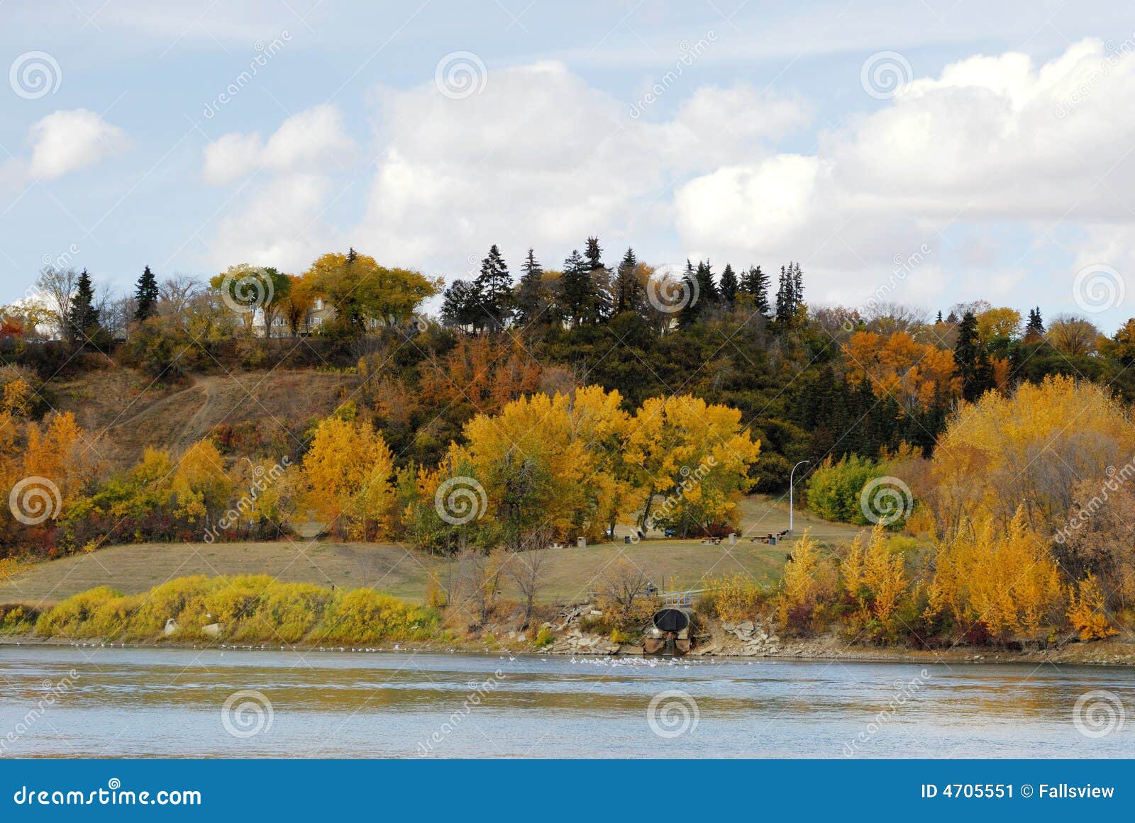 Autumn Riverside Scene in Edmonton Stock Image - Image of edmonton ...