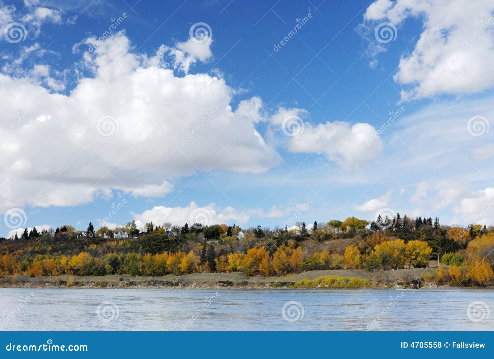 Autumn Riverside Scene in Edmonton Stock Photo - Image of aspen ...