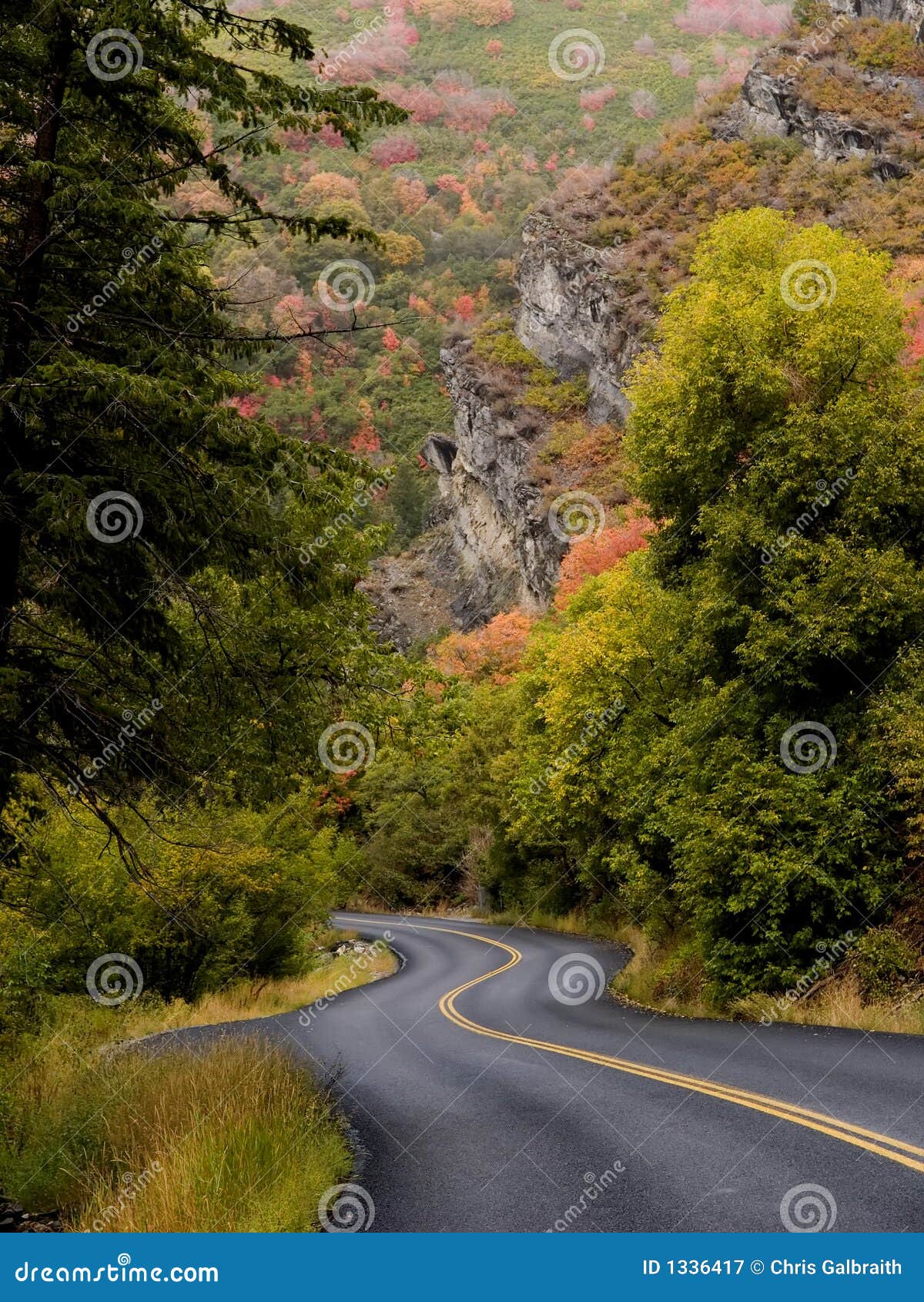 Autumn road stock image. Image of color, drive, seasons - 1336417