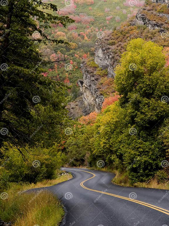 Autumn road stock image. Image of color, drive, seasons - 1336417