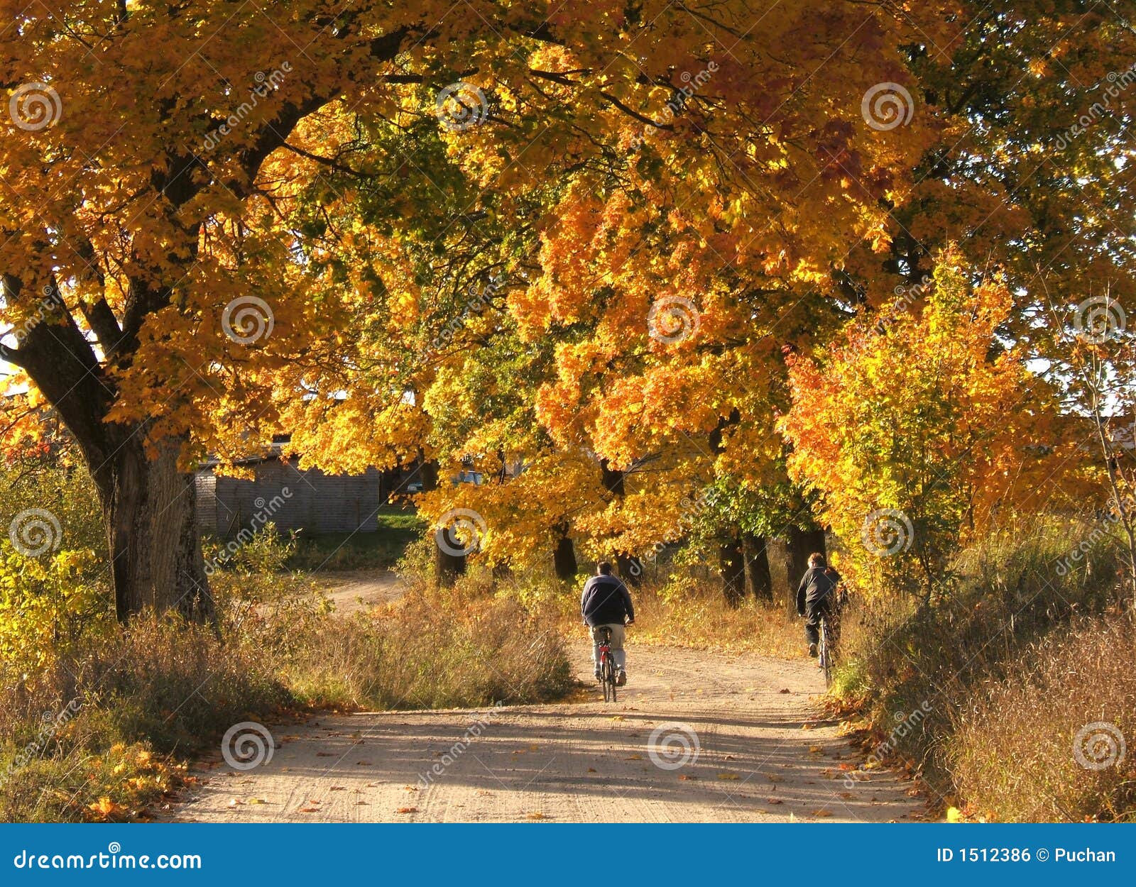 Autumn road stock photo. Image of bikers, lighting, nature - 1512386
