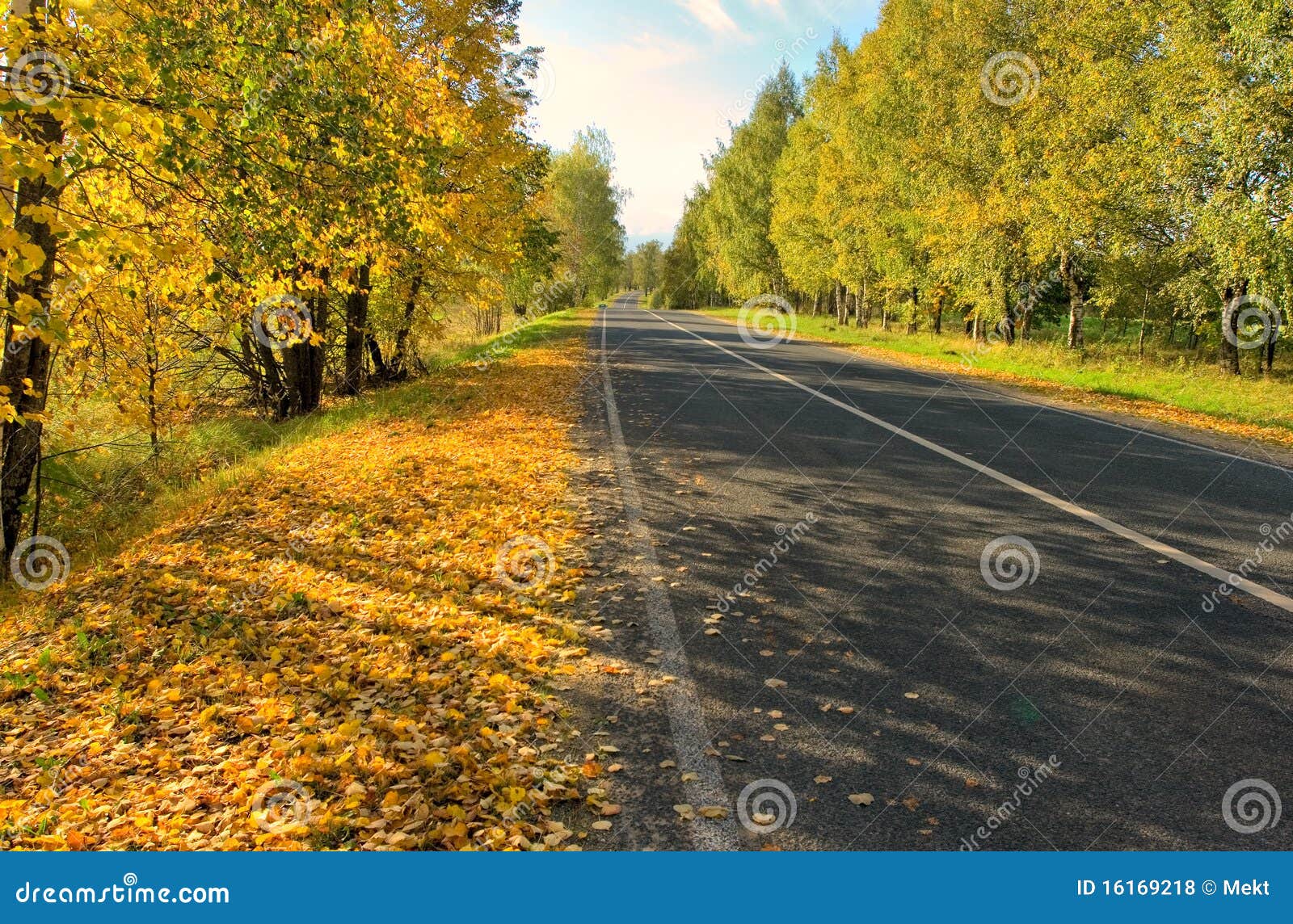 Autumn road stock photo. Image of nature, bright, background - 16169218