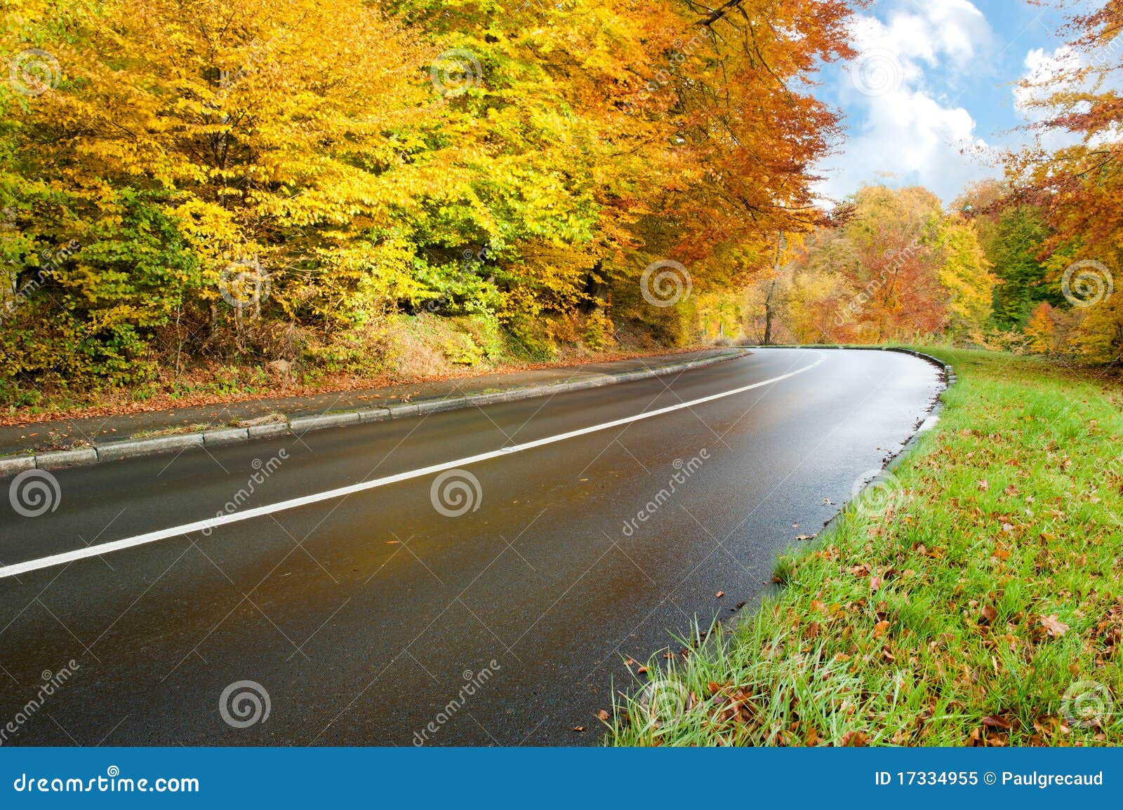 Autumn road stock image. Image of rural, landscape, beautiful - 17334955