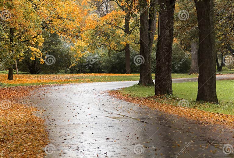 Autumn road-2 stock image. Image of landscape, nature - 1402697