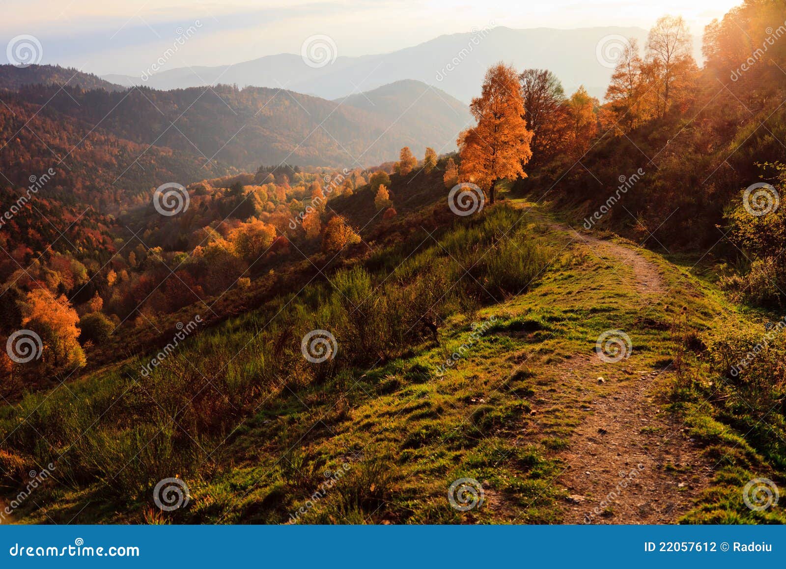 Autumn road stock photo. Image of trees, autumn, road - 22057612