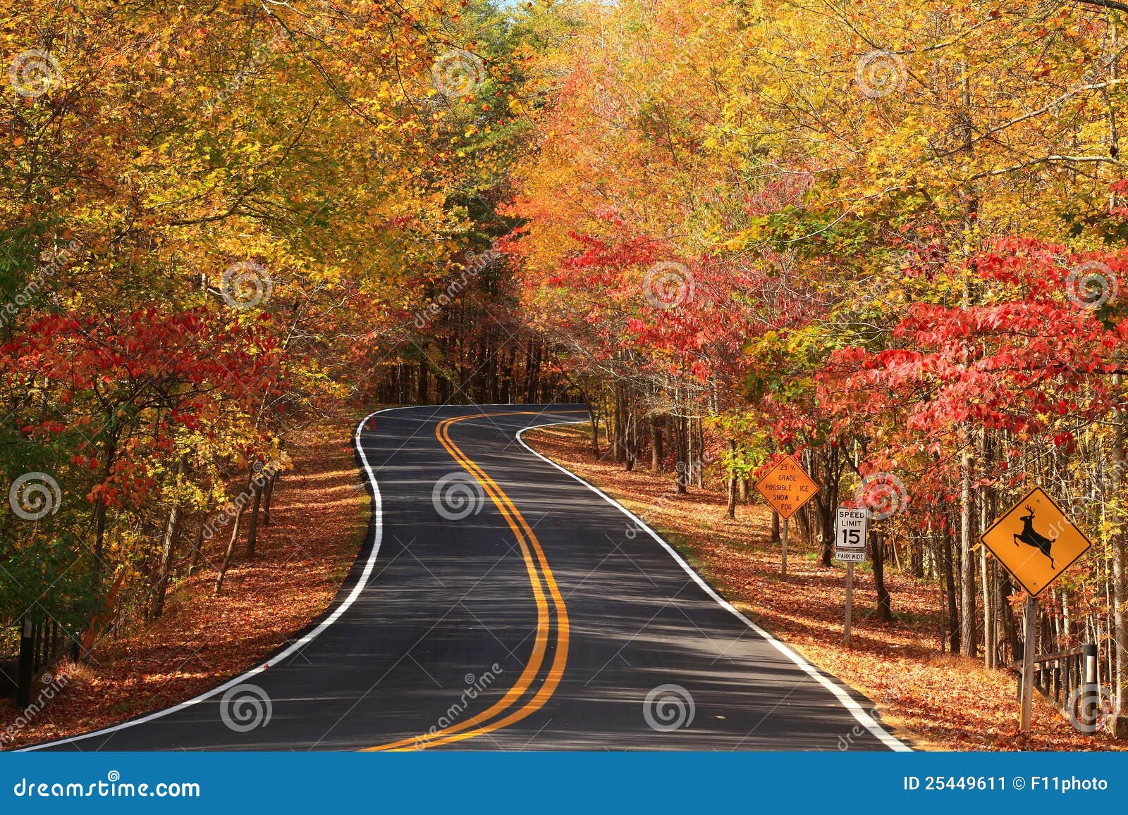 Autumn road stock image. Image of season, sunny, outdoors - 25449611