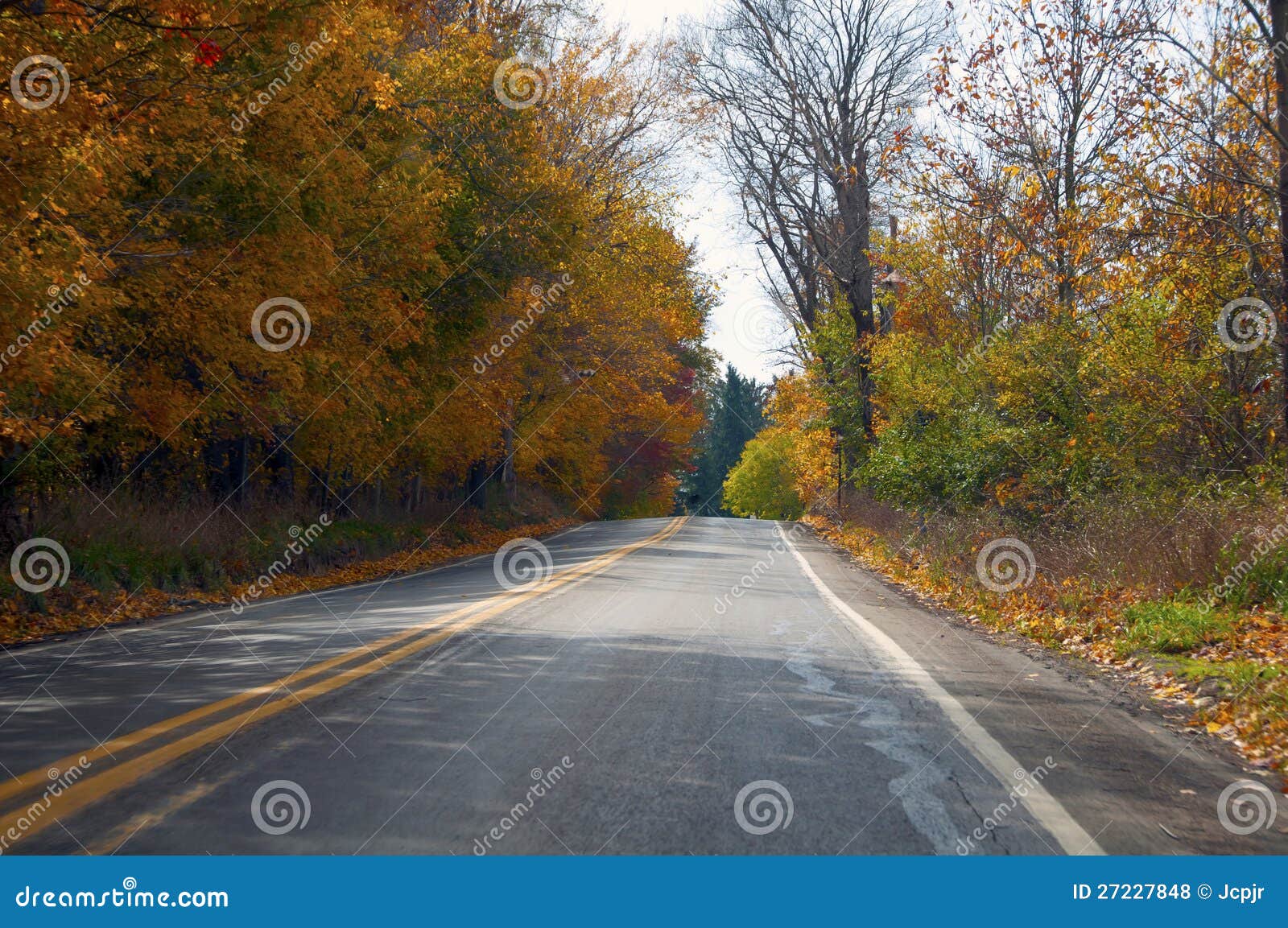 Autumn Road stock photo. Image of leaf, asphalt, natural - 27227848