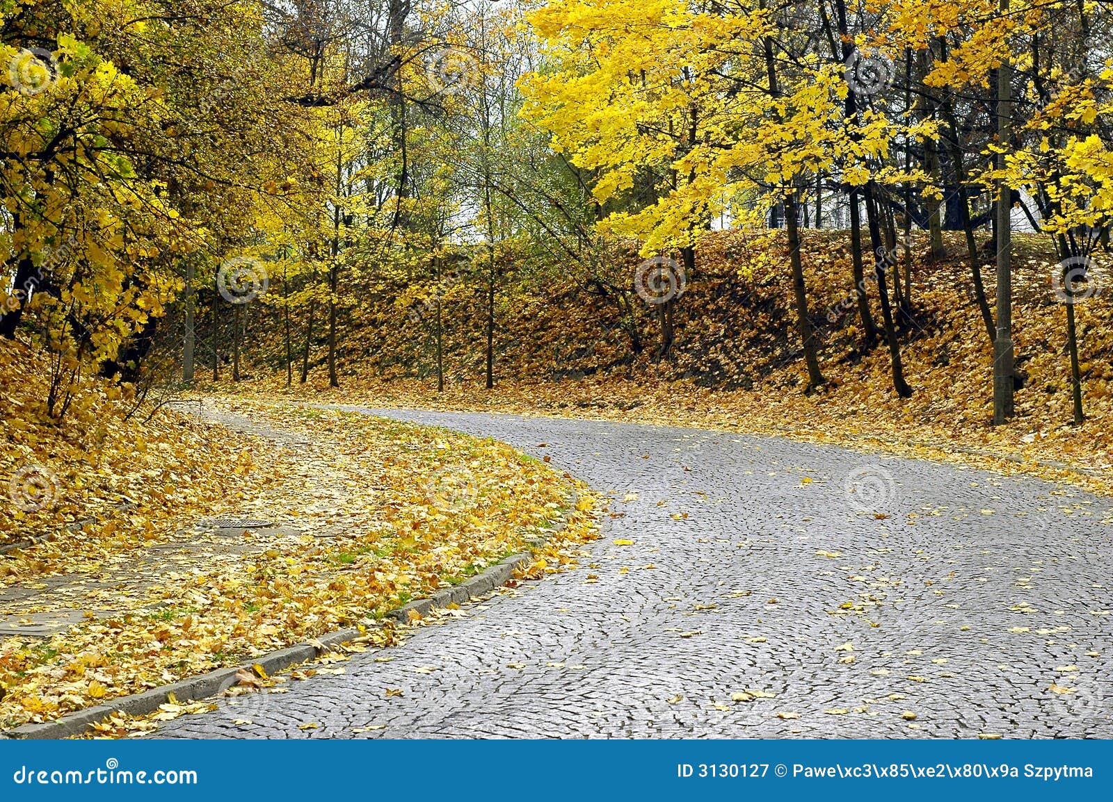 Autumn road stock image. Image of landscapes, ground, abstract - 3130127