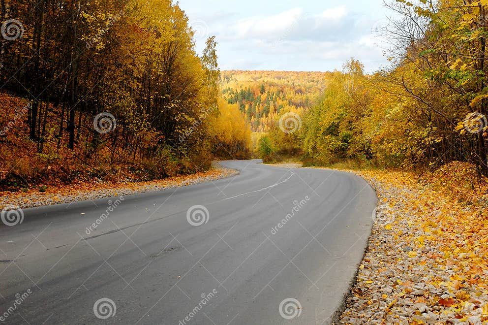 Autumn road stock image. Image of mountain, journey, leaf - 3392397