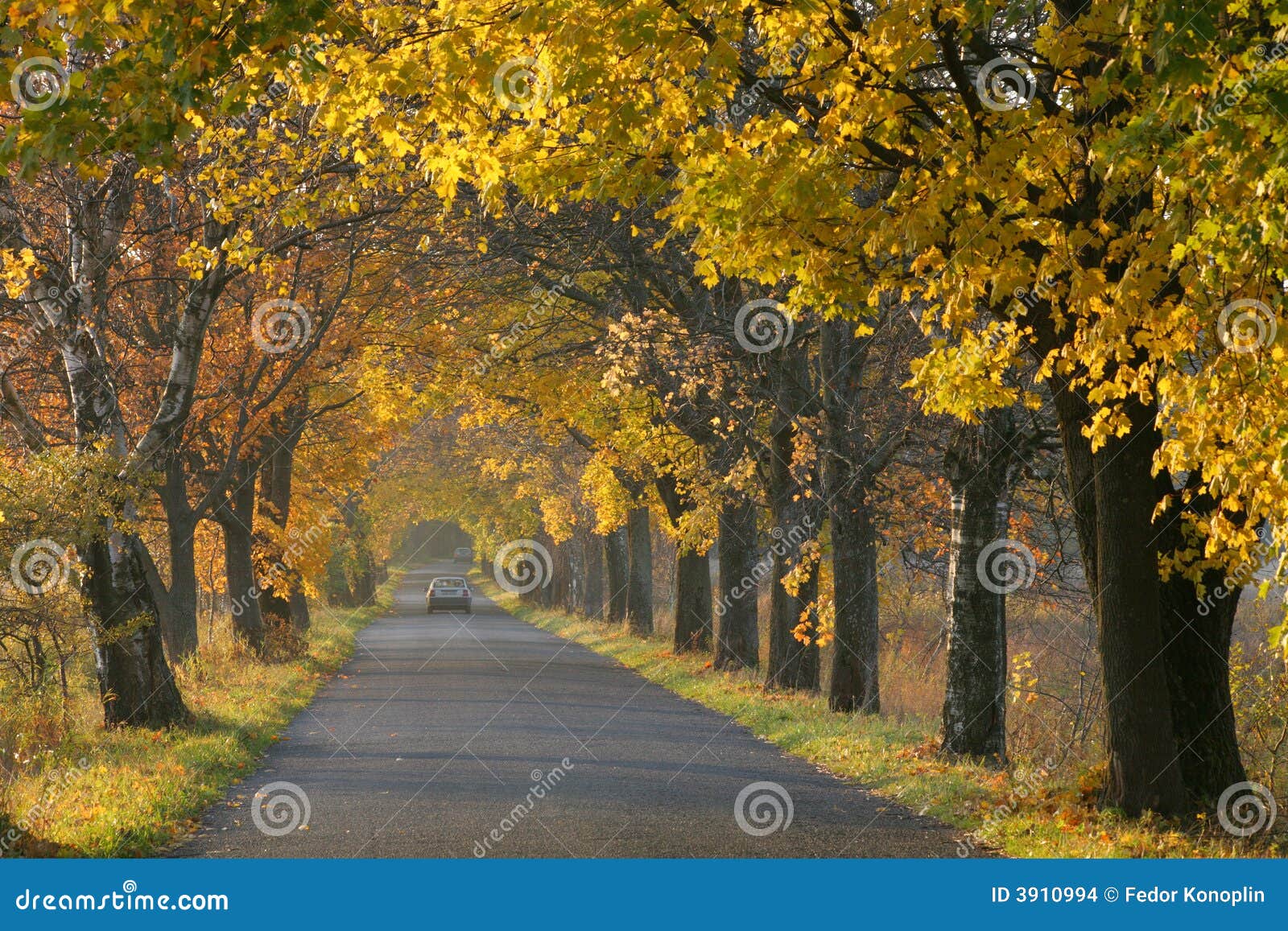 Autumn road. stock photo. Image of european, ornamental - 3910994