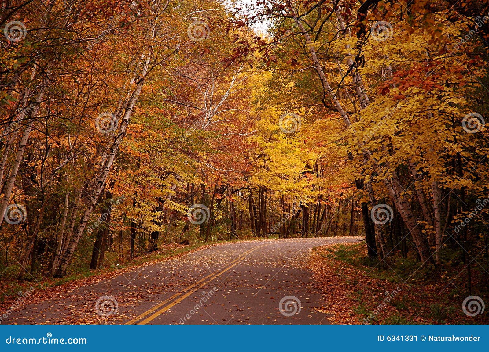 Autumn Road stock image. Image of september, peace, october - 6341331
