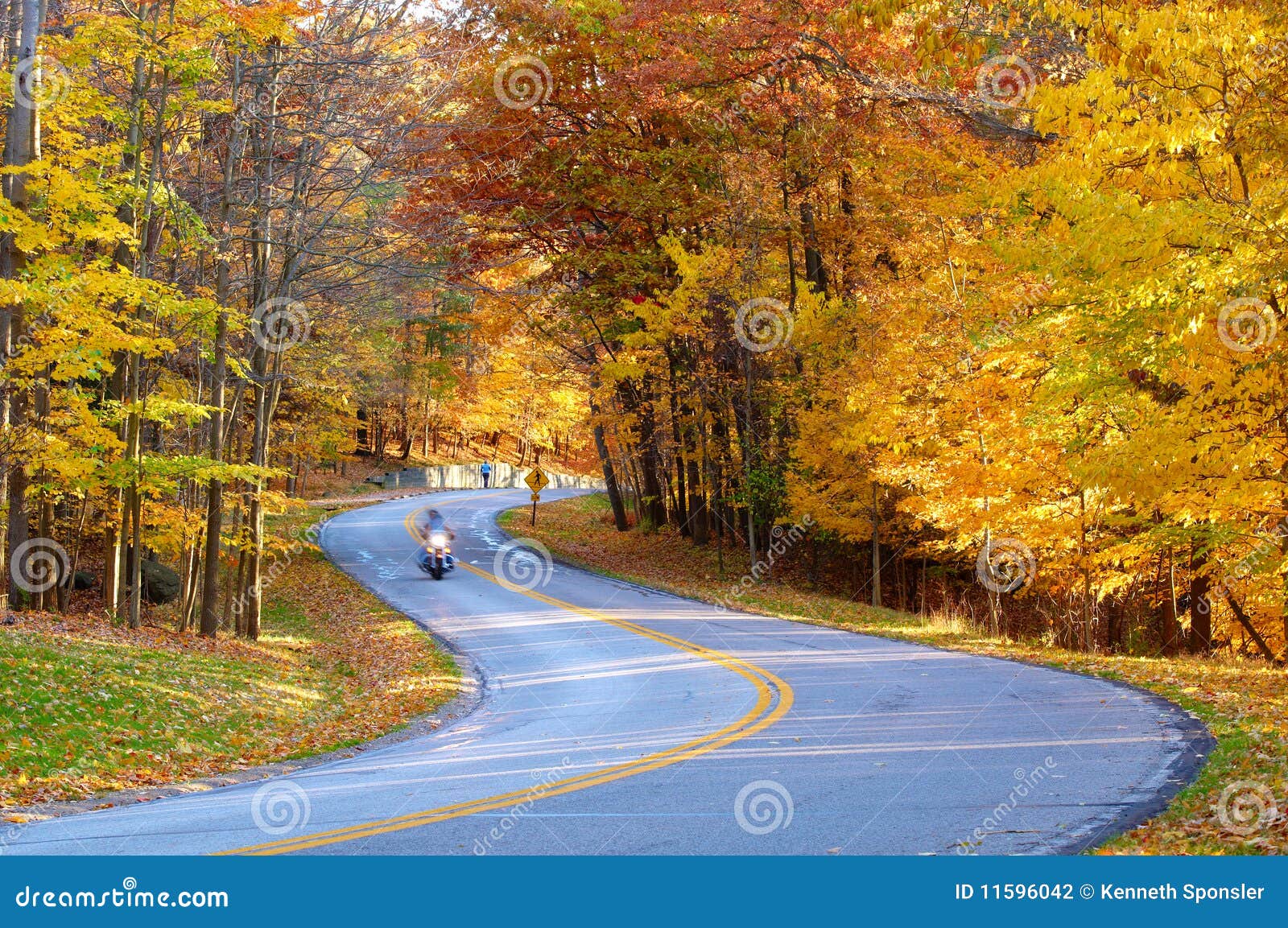 Autumn road with biker stock photo. Image of pavement - 11596042