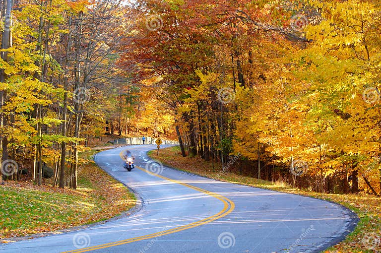 Autumn road with biker stock photo. Image of pavement - 11596042