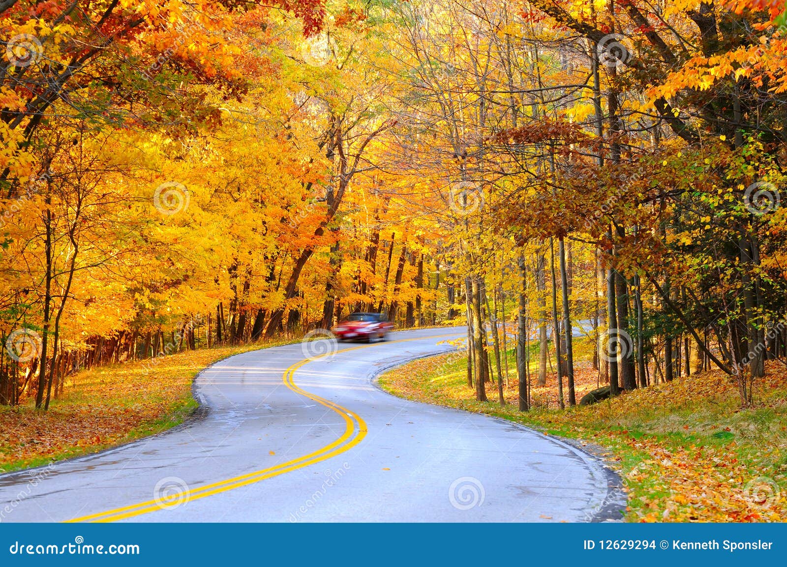 Autumn road with car stock photo. Image of nature, speed - 12629294