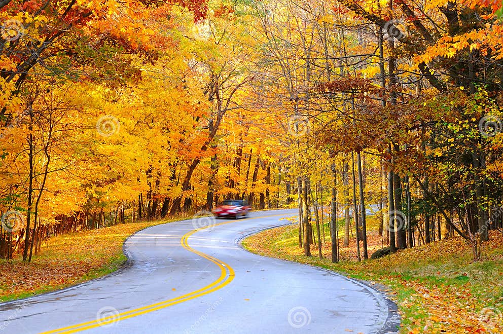 Autumn road with car stock photo. Image of nature, speed - 12629294
