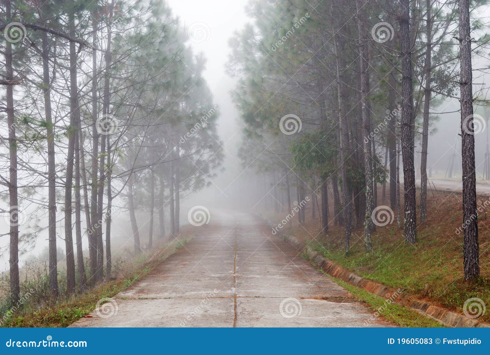 Autumn Road and Fog Around Trees Stock Image - Image of landscape ...