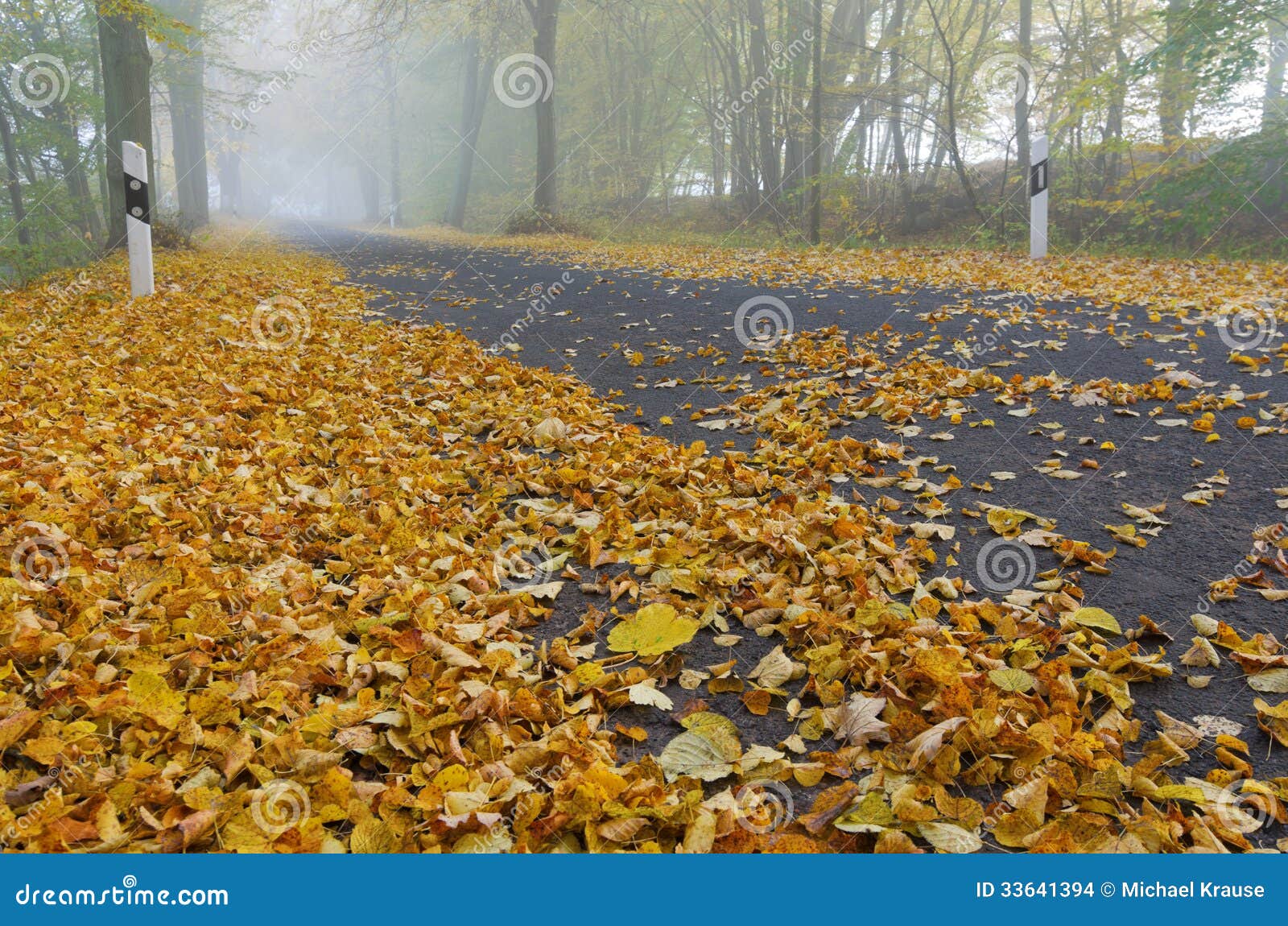 Autumn, road, fog, foliage stock photo. Image of trees - 33641394