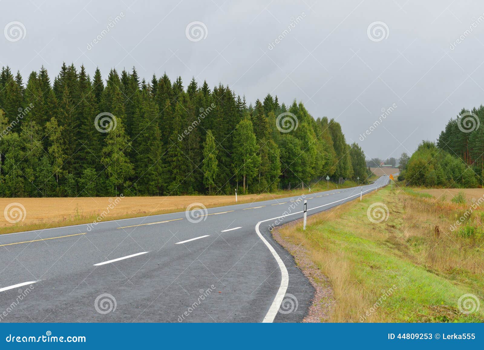 Autumn Road in Haze of Rain Stock Image - Image of highway, gray: 44809253