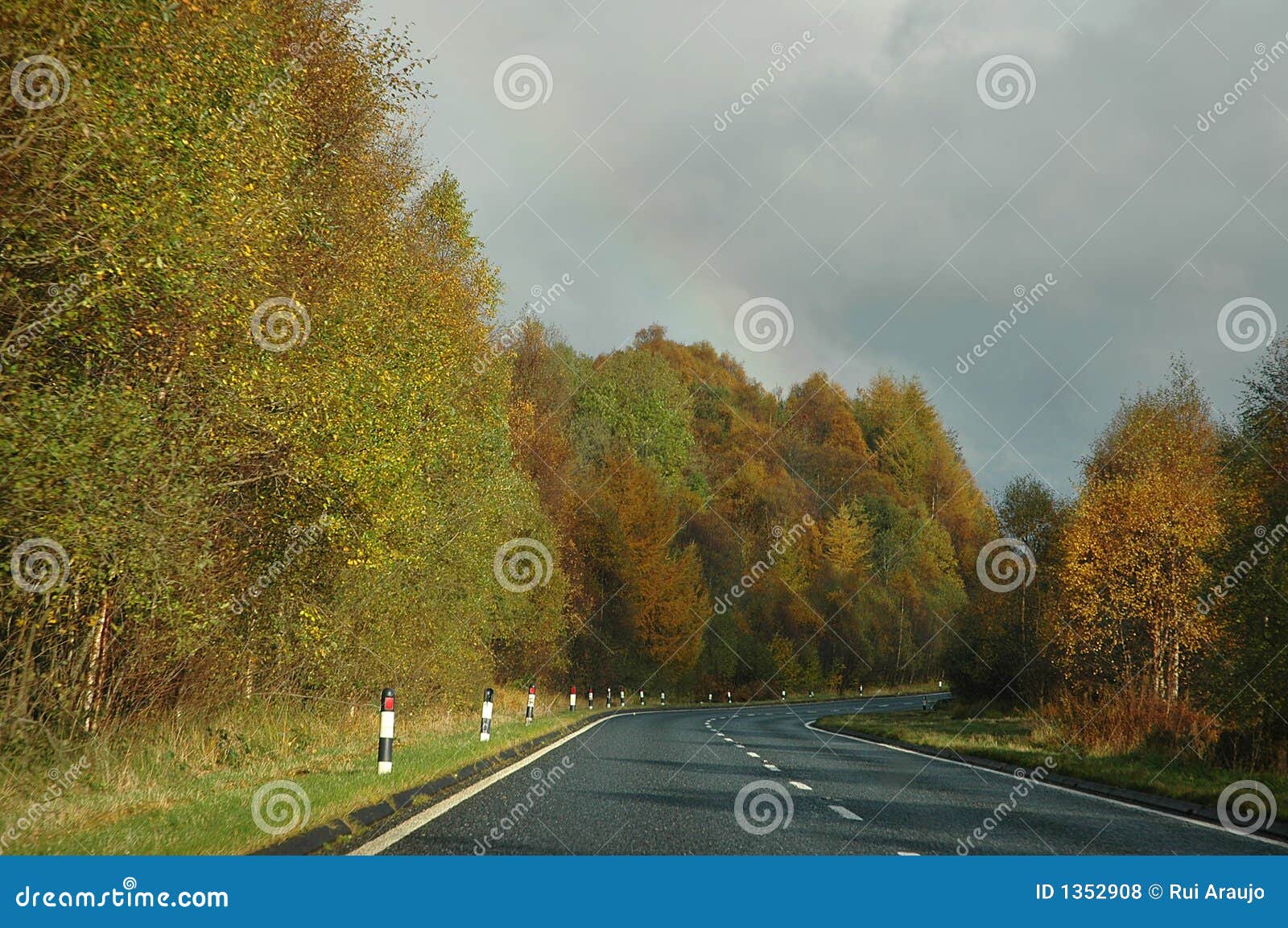 Autumn Road after a Rain stock photo. Image of rain, highway - 1352908