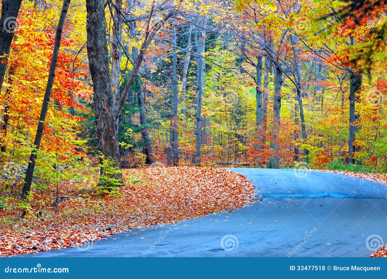 Autumn Road stock photo. Image of road, fall, countryside - 33477518