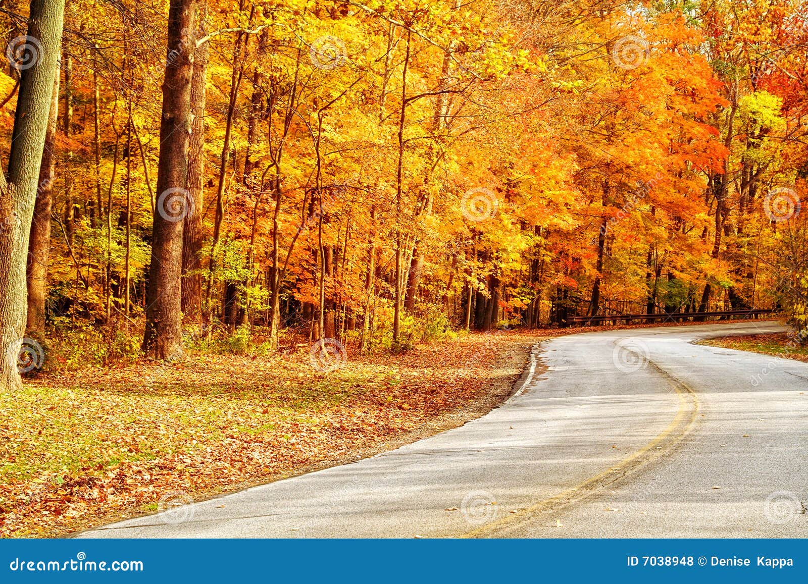 Autumn Roadway stock photo. Image of brown, road, november - 7038948