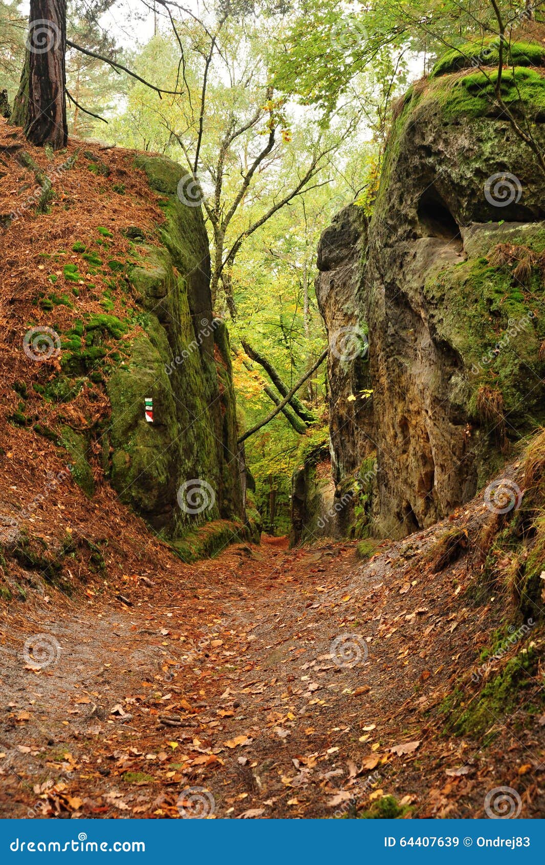Autumn in the rocks stock image. Image of autumn, season - 64407639