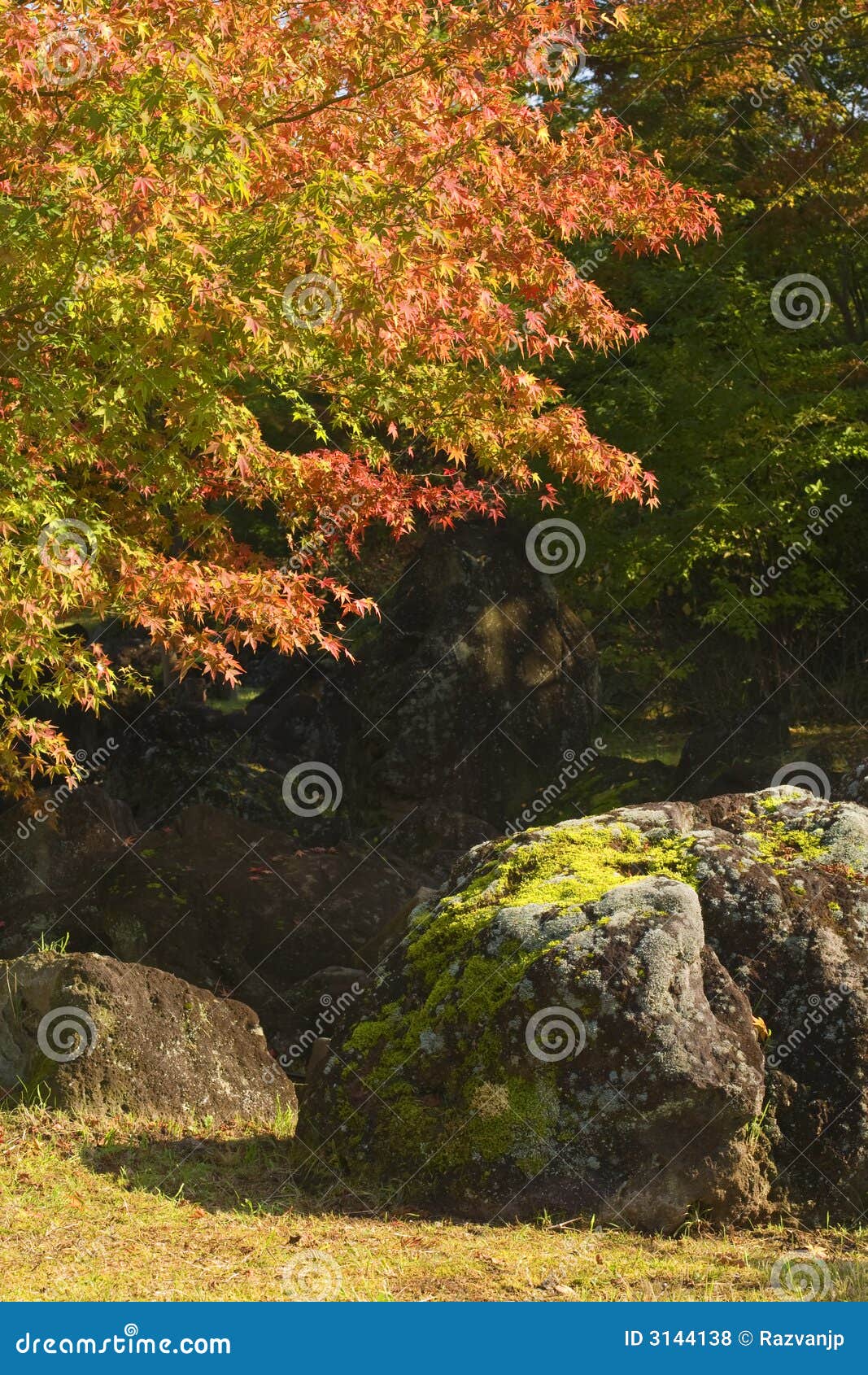 Autumn rocks corner stock photo. Image of moss, garden - 3144138