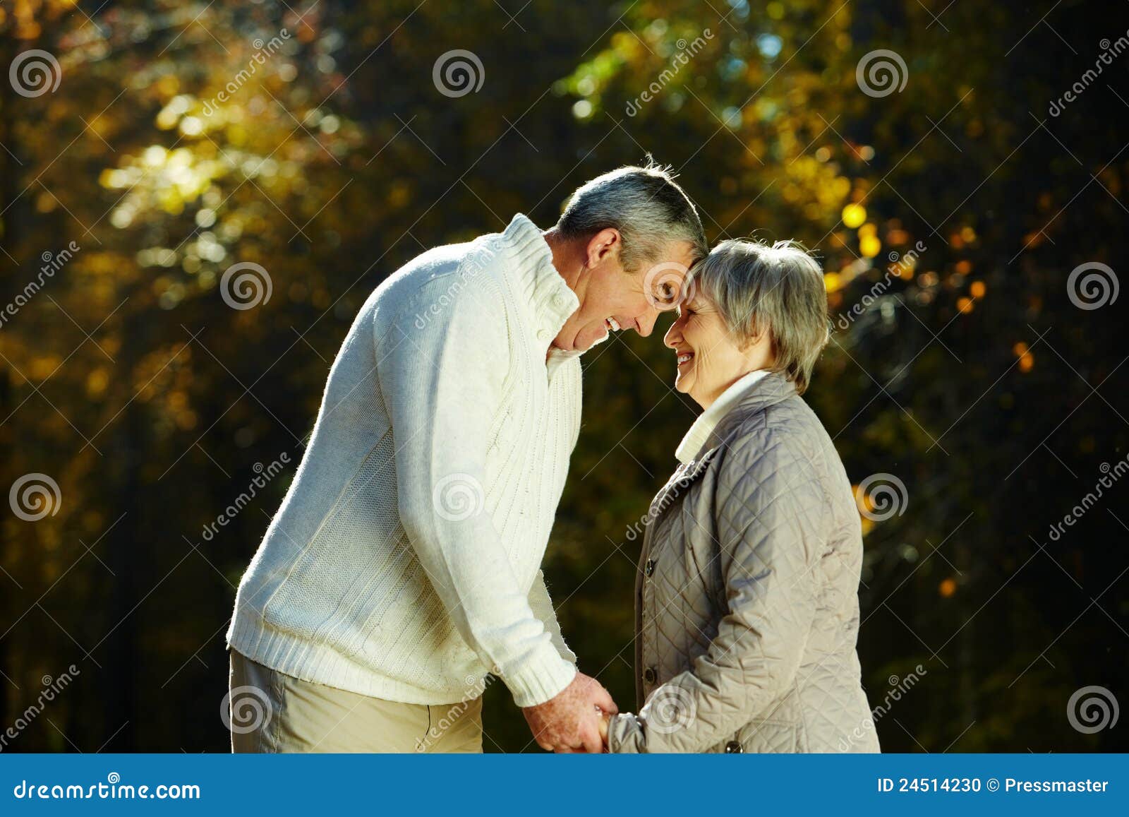 Autumn romance stock photo. Image of devoted, darling - 24514230