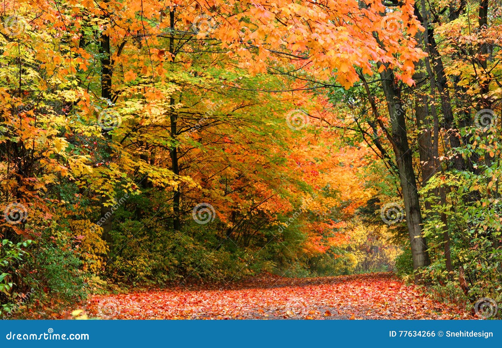 Autumn in rural Michigan stock photo. Image of michigan - 77634266