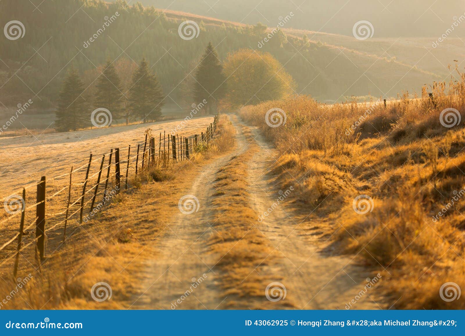 Autumn rural path stock image. Image of path, golden - 43062925