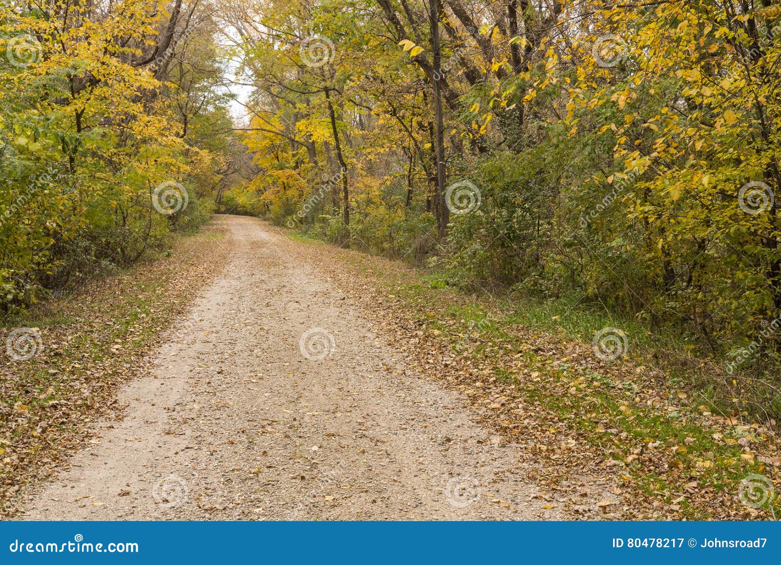 Autumn Rural Road stock image. Image of minnesota, nature - 80478217