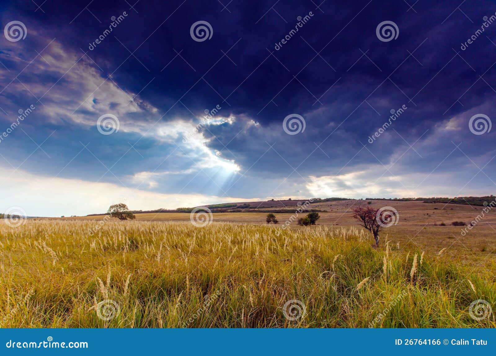 Autumn Rural Scenery with Stormy Sky Stock Photo - Image of rain, delta ...