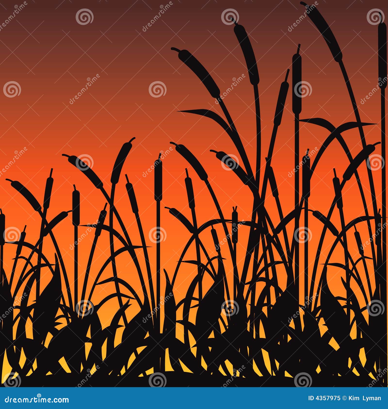 Bullrushes Cartoons, Illustrations & Vector Stock Images - 21 Pictures ...