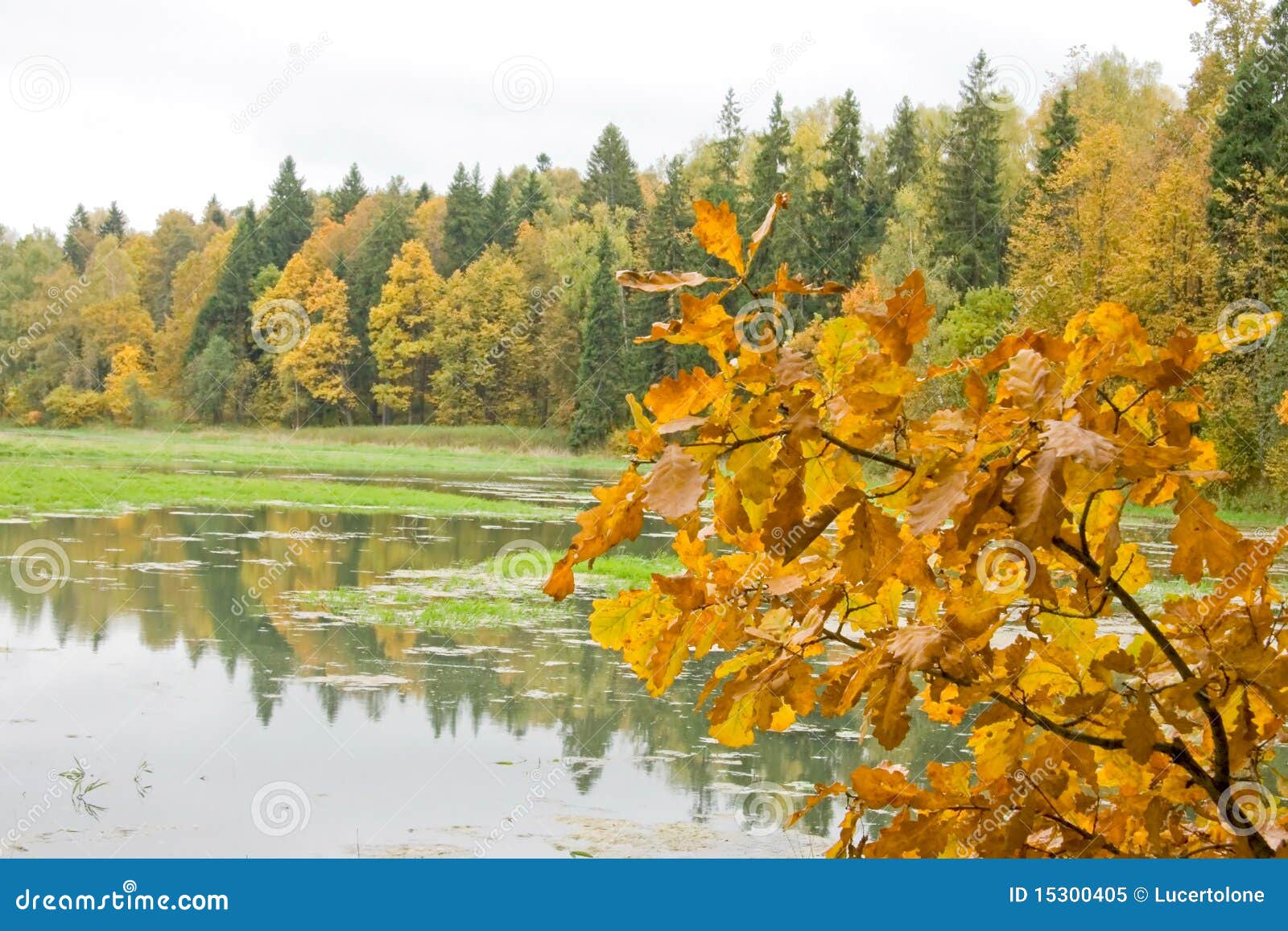 Autumn in Russia stock image. Image of park, abramzevo - 15300405