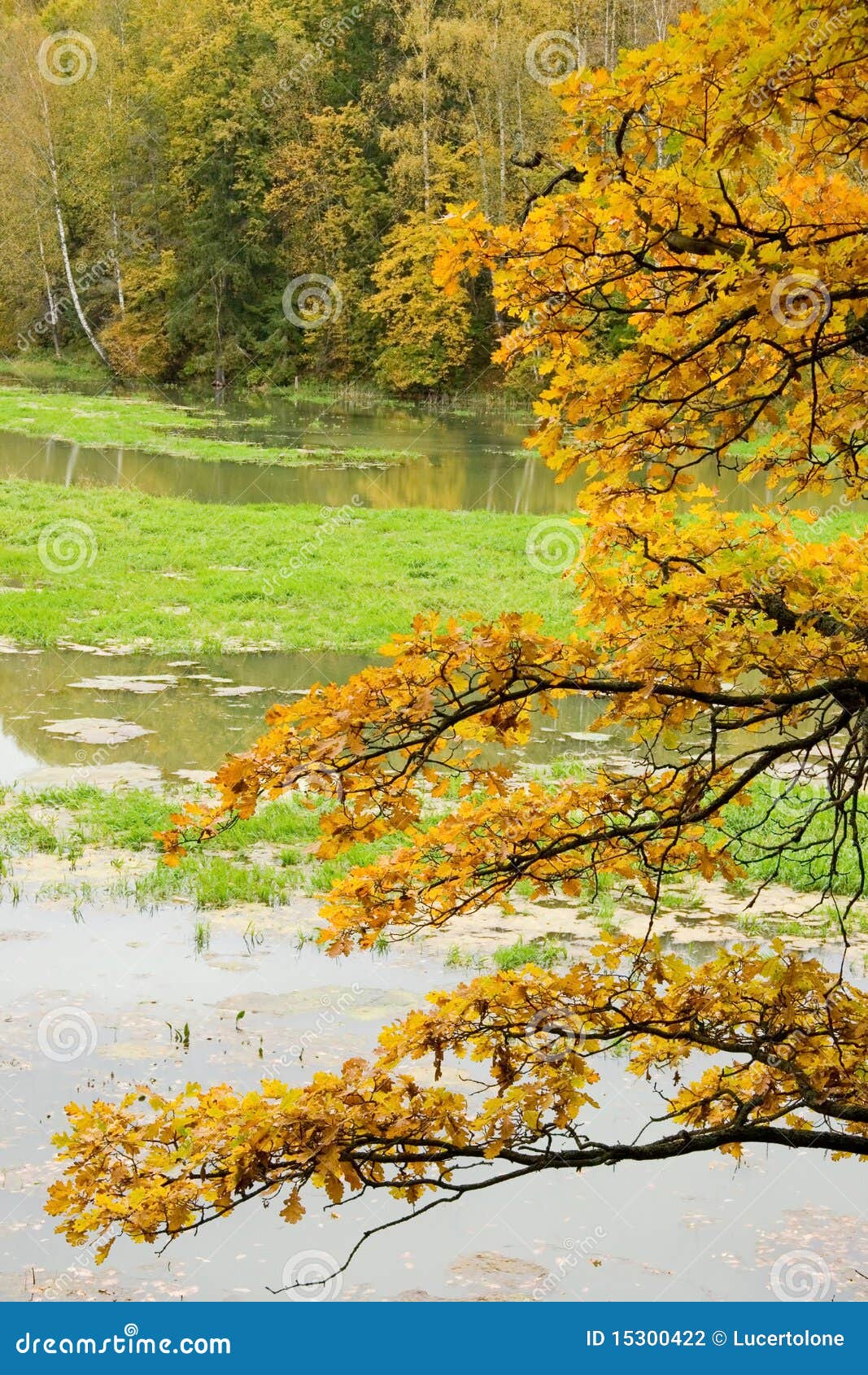 Autumn in Russia stock photo. Image of orange, foliage - 15300422