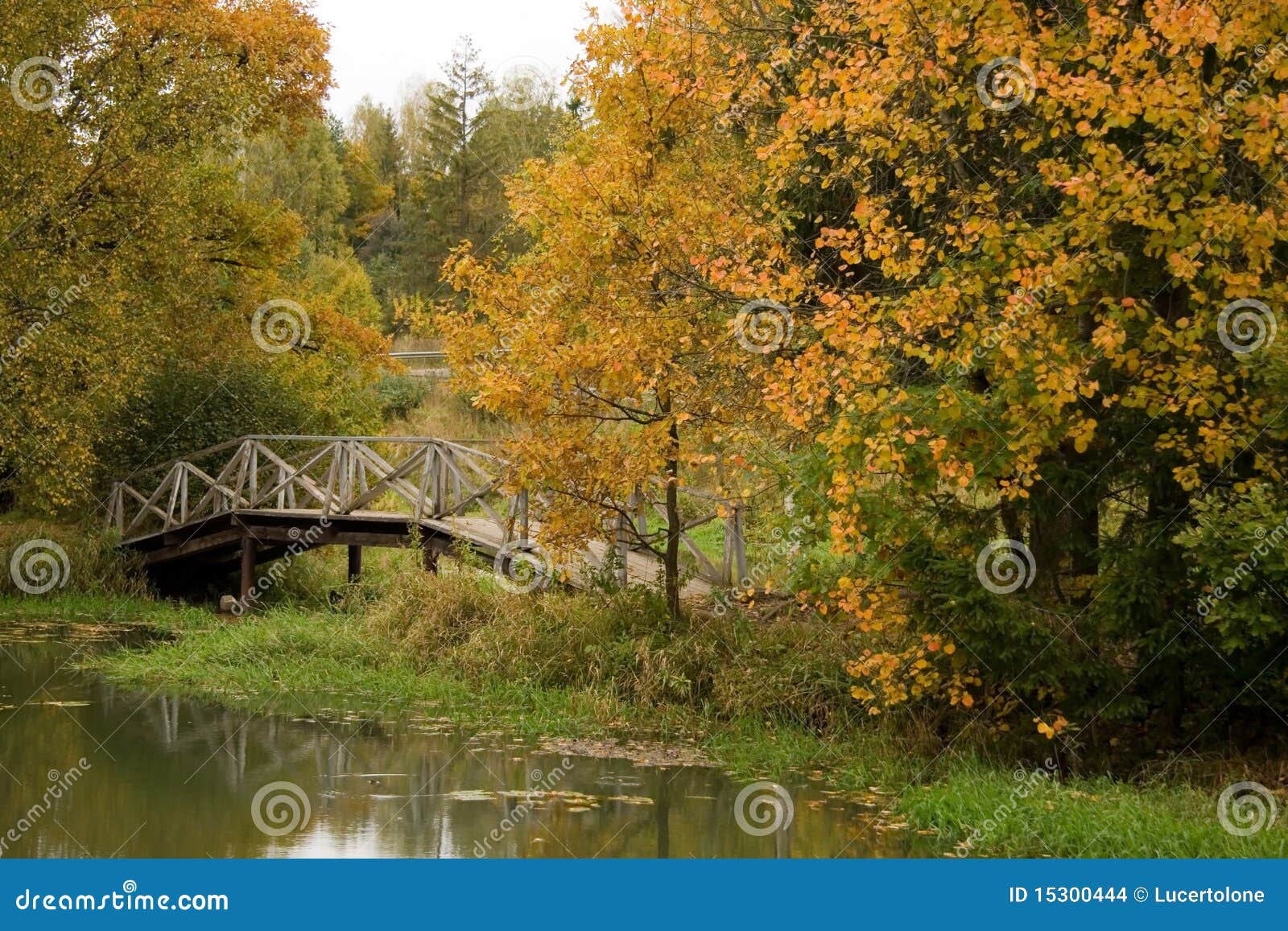 Autumn in Russia stock photo. Image of outdoor, tree - 15300444