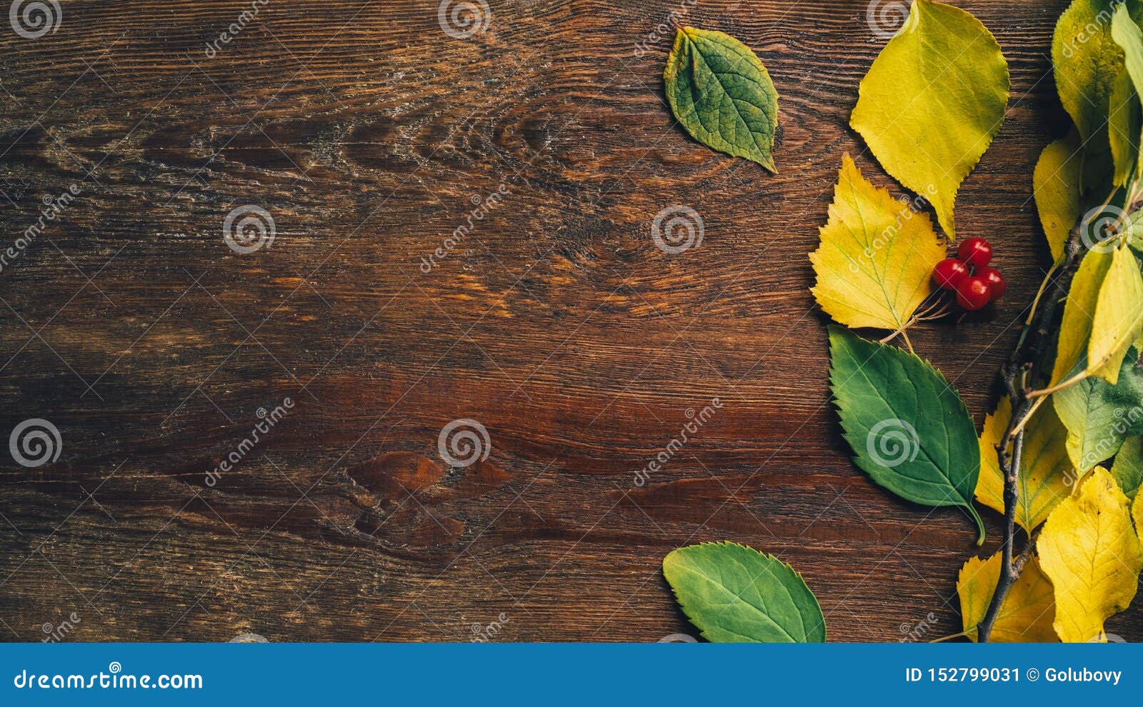 Autumn Rustic Decor Wooden Background Fall Leaves Stock Image - Image ...