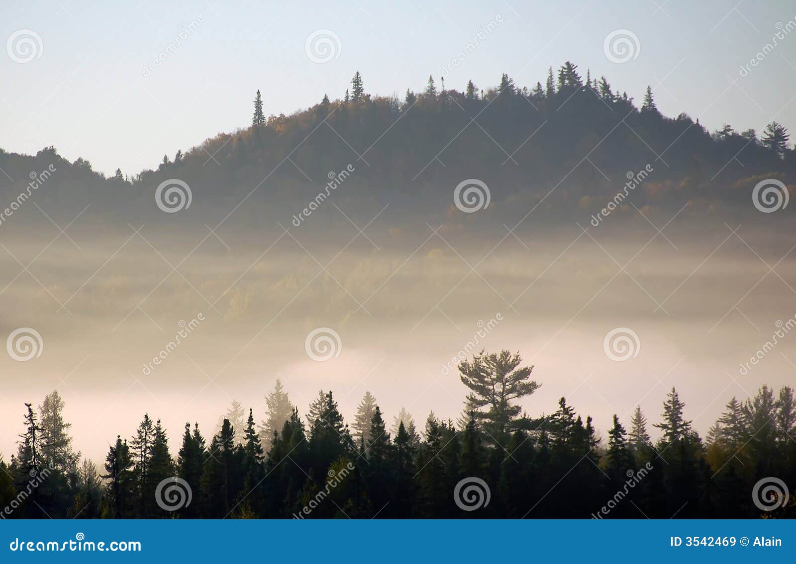An Autumn S Landscape with Fog Stock Image - Image of woods, forest ...