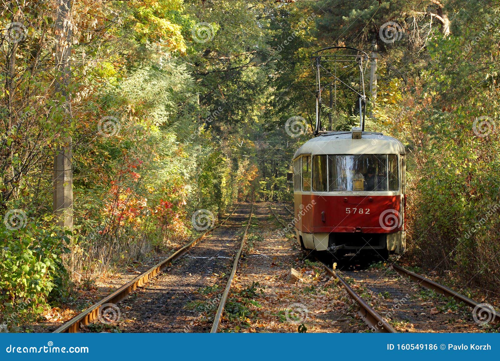 Tram at a forest stock photo. Image of autumns, landscape - 160549186