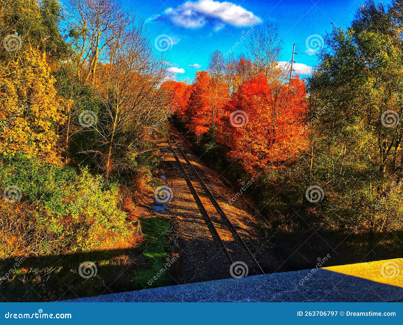 Autumnâ€™s tracks stock image. Image of colored, tracks - 263706797