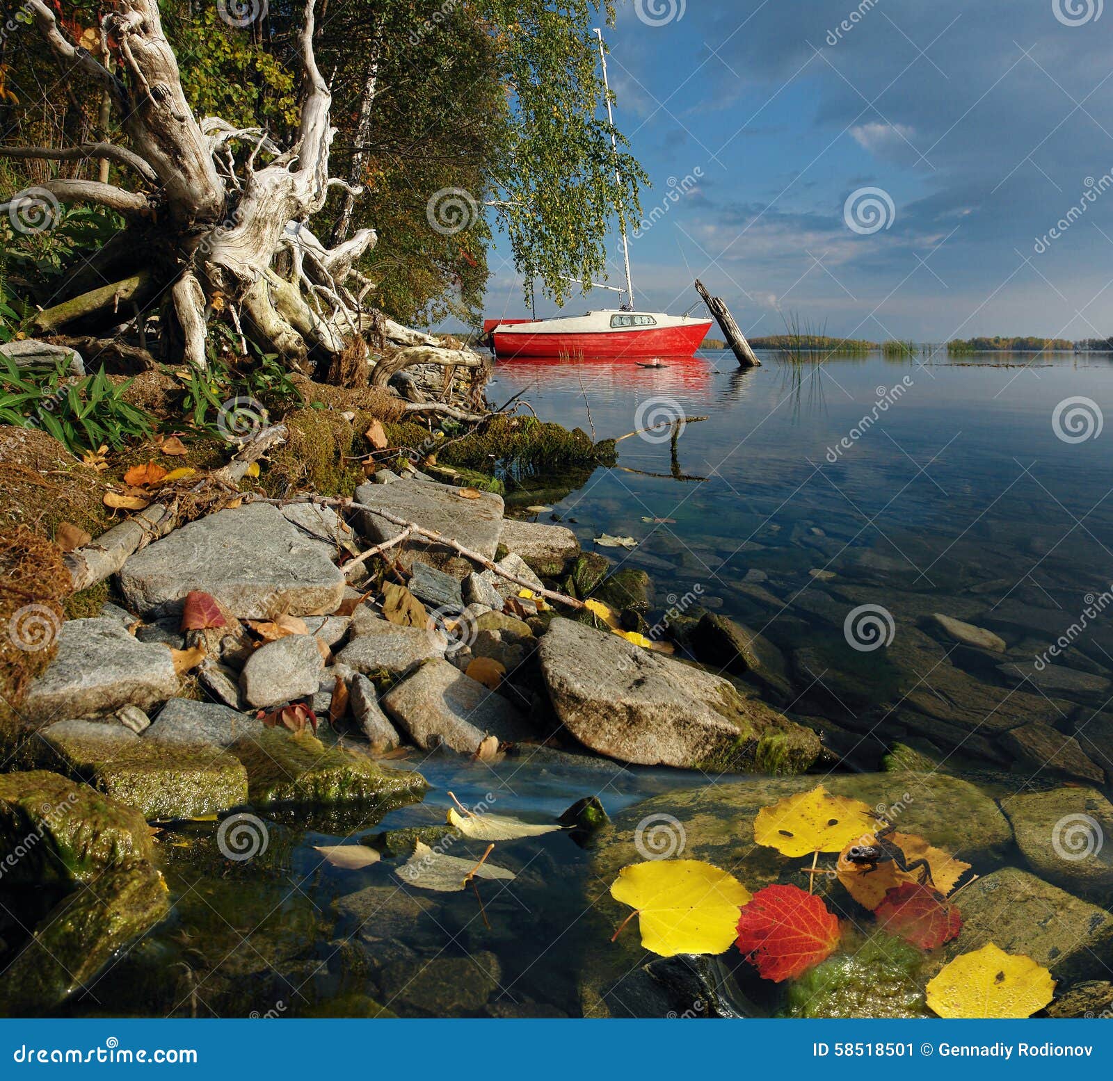 Autumn Sailboat. stock image. Image of sailing, oceanic - 58518501