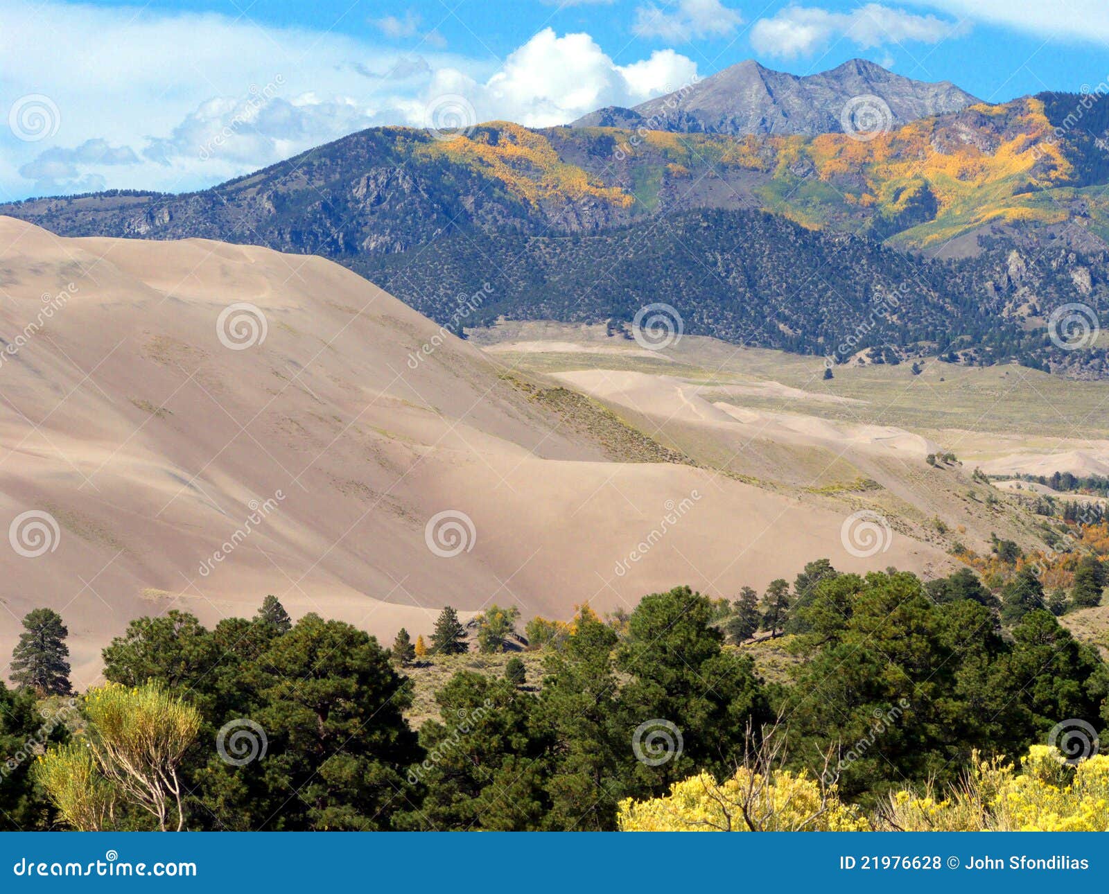Autumn Sand stock photo. Image of national, aspen, dune - 21976628