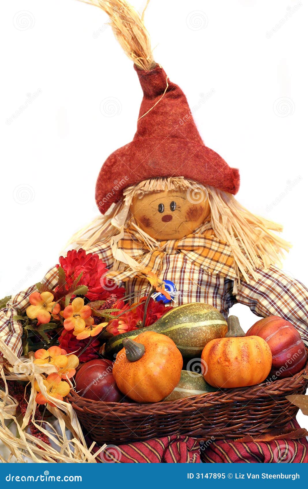 Autumn Scarecrow stock image. Image of arrangement, halloween - 3147895