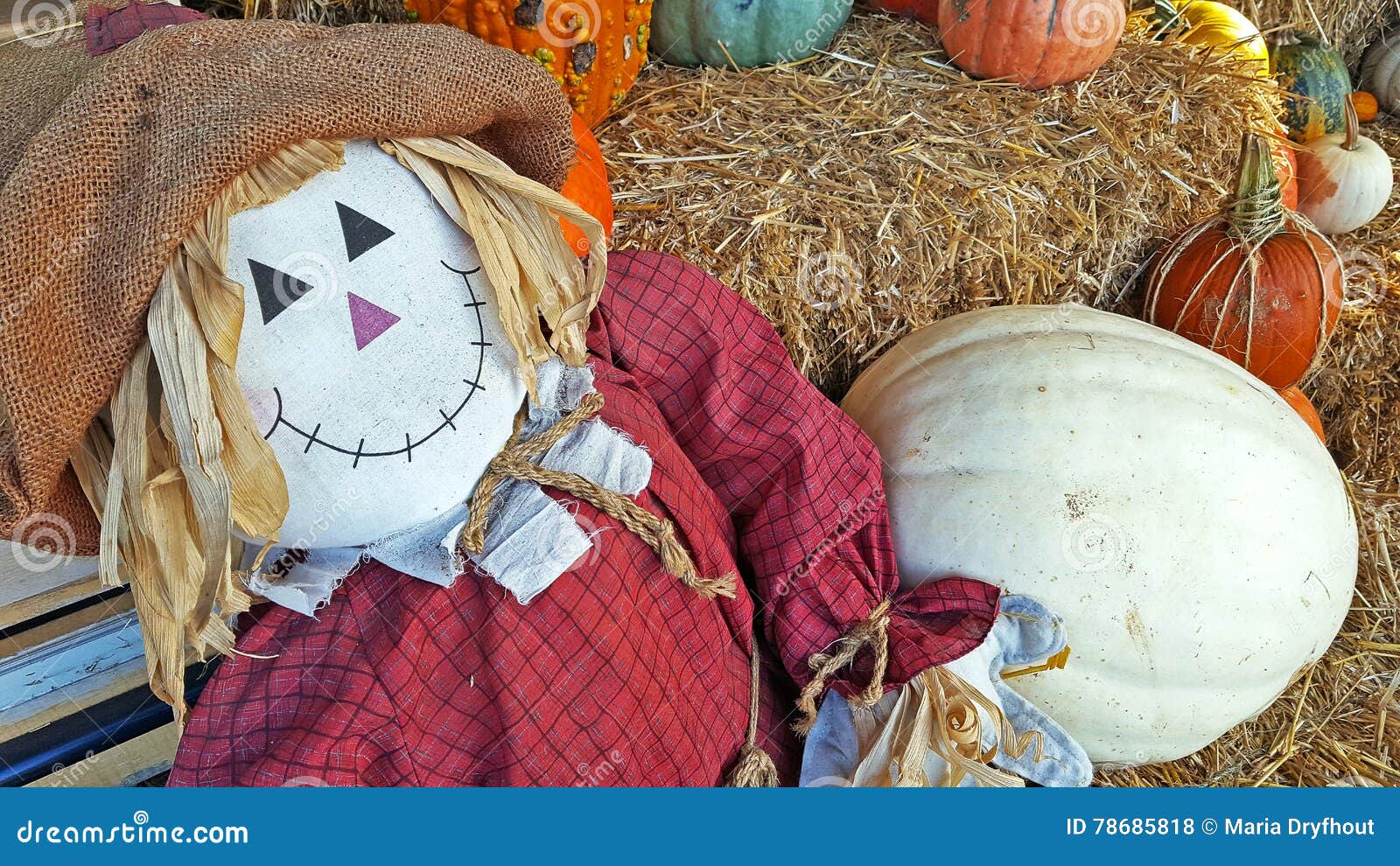Autumn Scarecrow with Pumpkins Stock Photo - Image of halloween, market ...