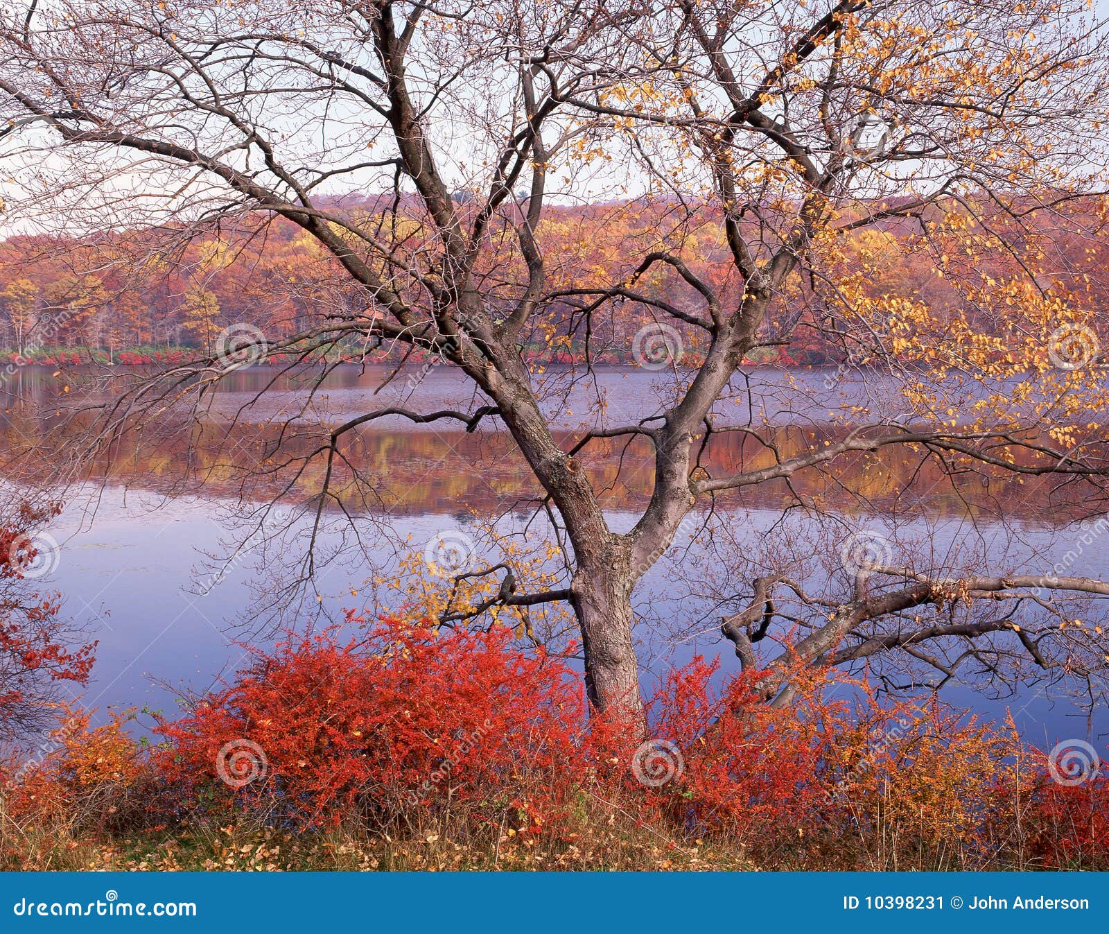 Autumn scene stock image. Image of september, autumn - 10398231